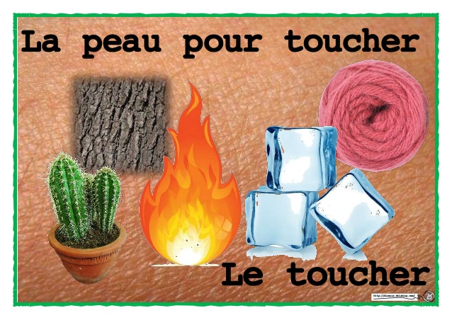 Toucher pour découvrir